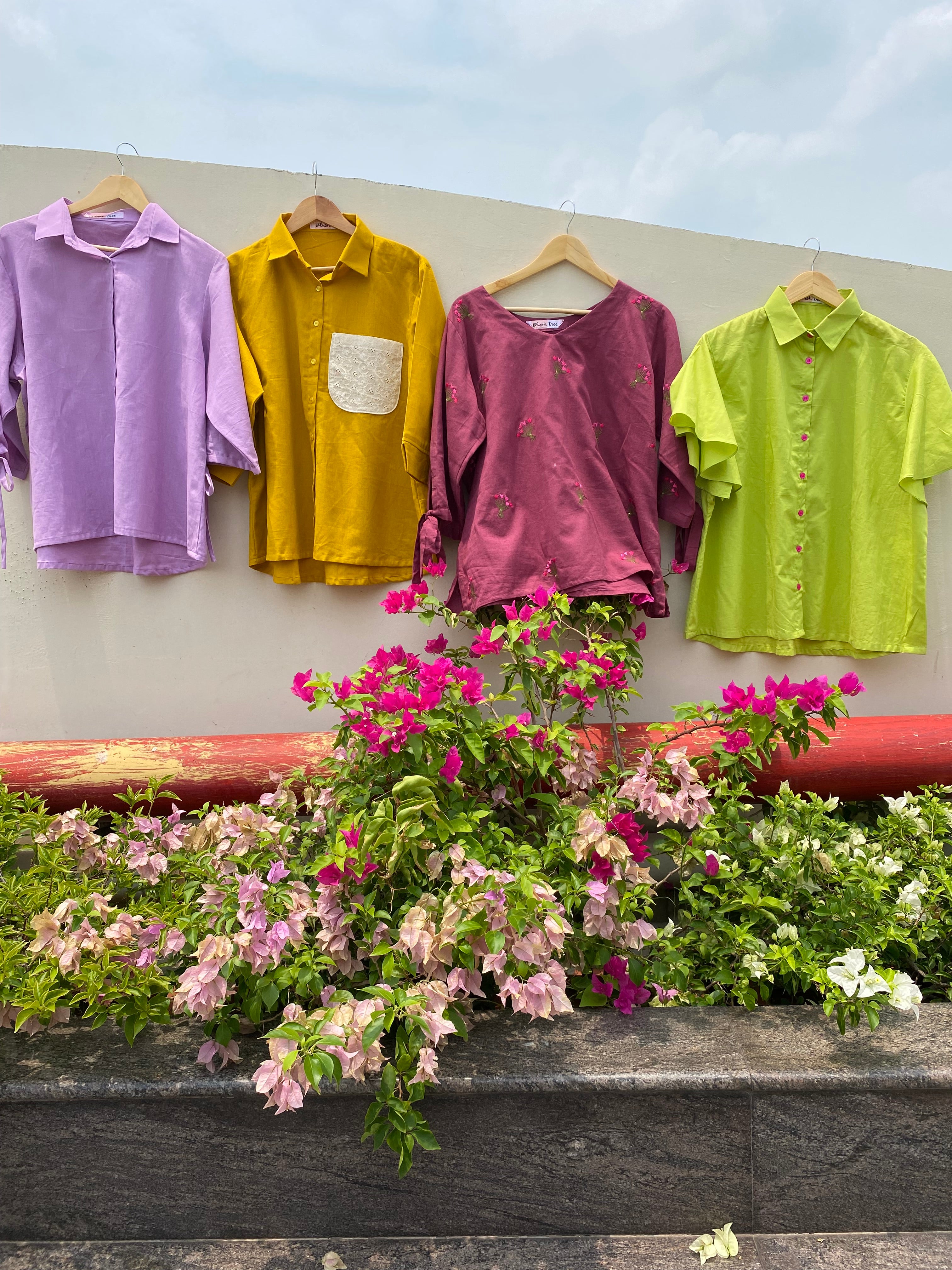 Collections – Blush Tree